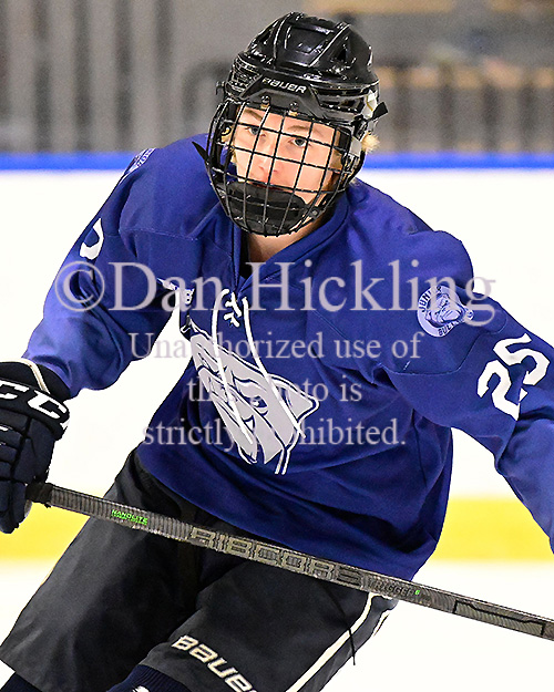 Jack Daly - Elite Prospects