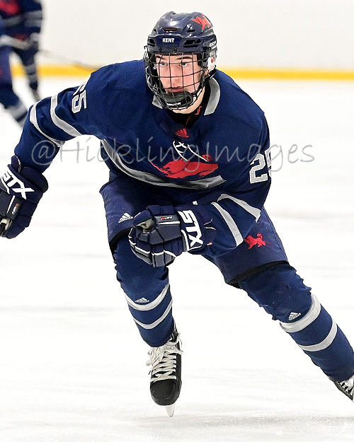 Denver Damphousse - Stats, Contract, Salary & More