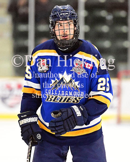 Robert Strachan - Elite Prospects