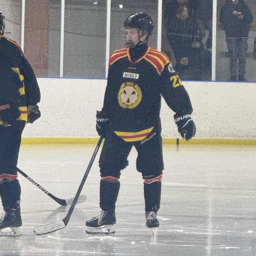 Alve Larsson - Stats, Contract, Salary & More