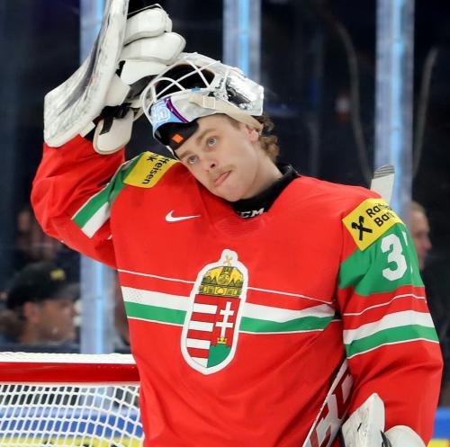 Dominik Horváth - Stats & Facts - Elite Prospects