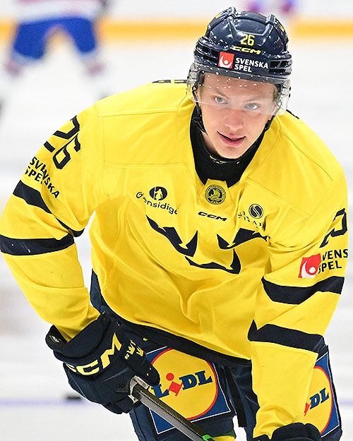 Jack Berglund - Stats, Contract, Salary & More