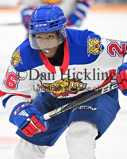 Quincy Supprien - Stats, Contract, Salary & More