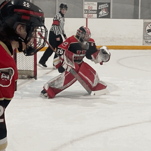 Dylan Elliott - Stats, Contract, Salary & More