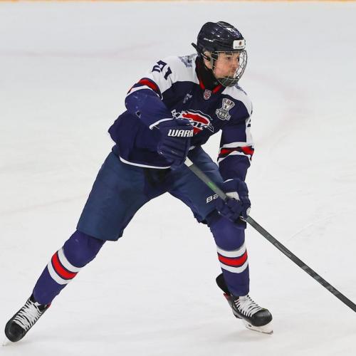 Anton Silayev - Stats & Facts - Elite Prospects