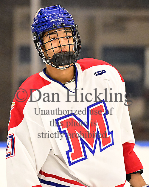 Carter Amico - Elite Prospects