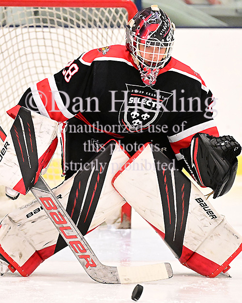 Matthew Humphries - Elite Prospects