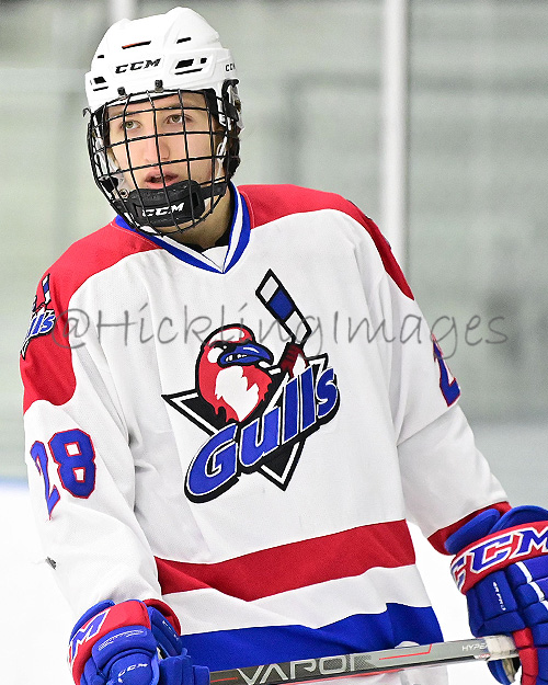 Dustin Patterson - Stats, Contract, Salary & More