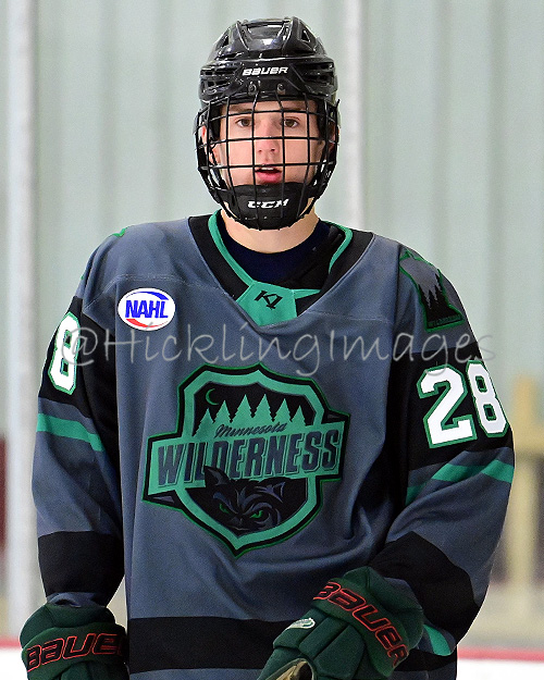 Aaron Pionk - Elite Prospects