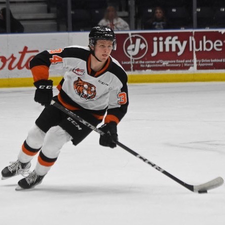 Andrew Basha - Stats & Facts - Elite Prospects