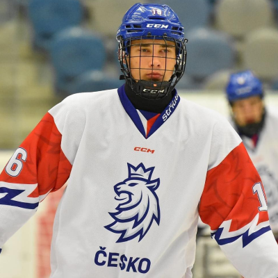 Adam Novotný - Stats, Contract, Salary & More