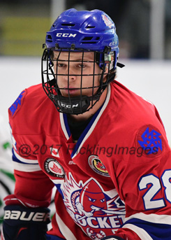 Nicholas Grandy - Elite Prospects