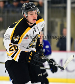 Nolan Moyle - Stats & Facts - Elite Prospects