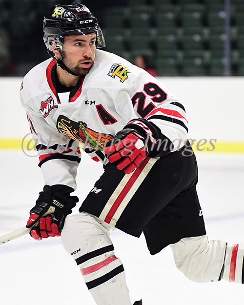 Nick Cicek - Elite Prospects
