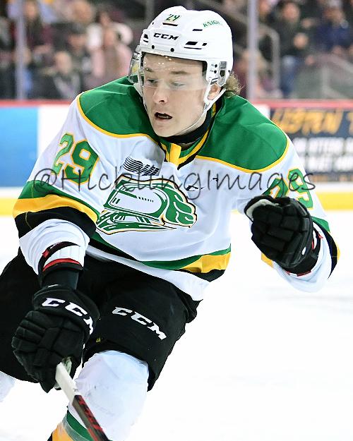 Brody Crane - Elite Prospects