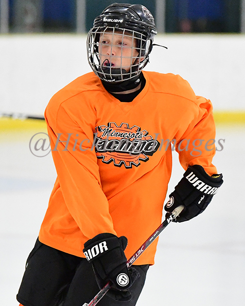 Matt Hauser - Elite Prospects