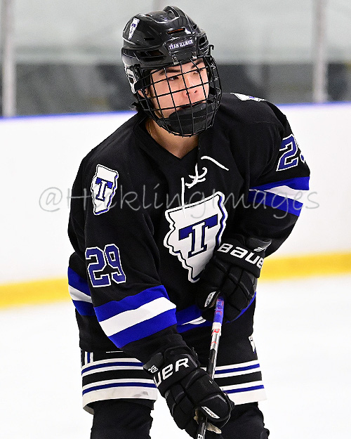 Sebastian Hetterich - Elite Prospects