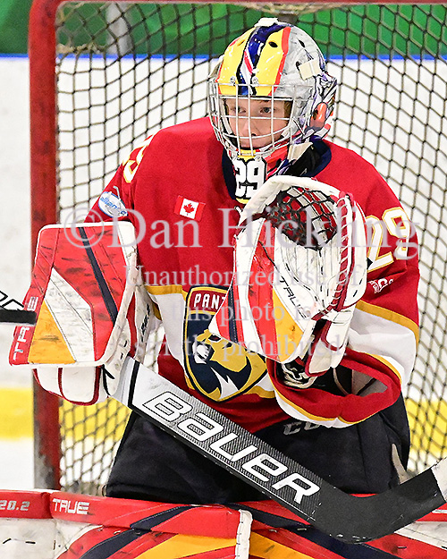 Hayden Laforet - Stats, Contract, Salary & More