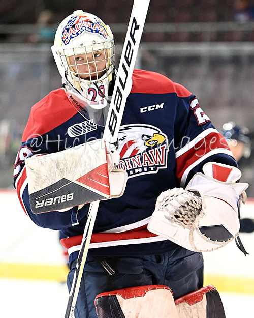 Andrew Oke - Elite Prospects