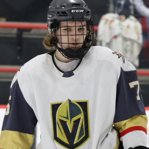 Collin Davis - Stats, Contract, Salary & More