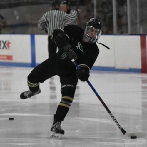 Brandon Borges - Stats & Facts - Elite Prospects