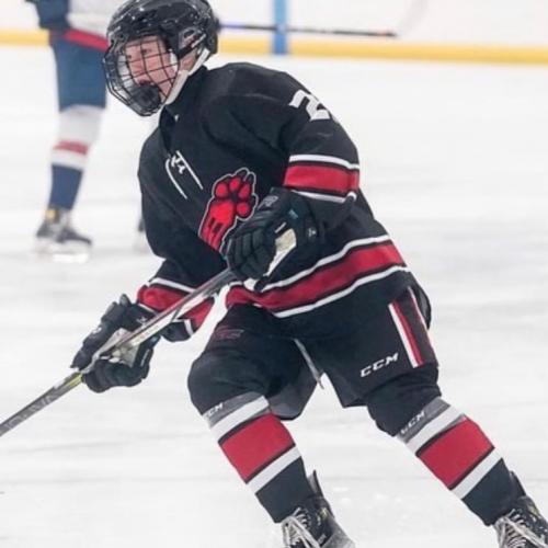 Dominique Fortin - Stats, Contract, Salary & More