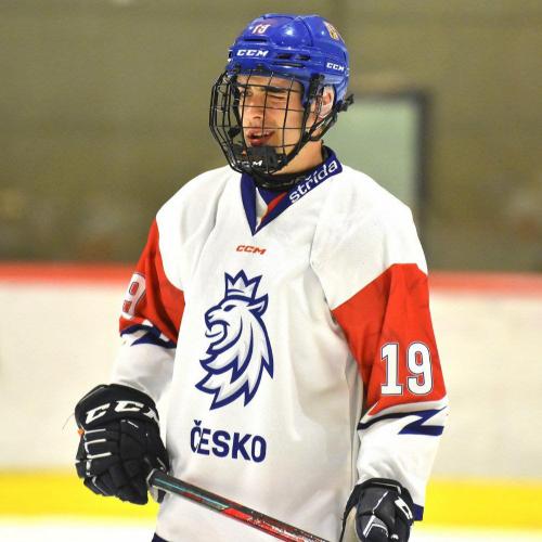 Patrik Král - Stats, Contract, Salary & More