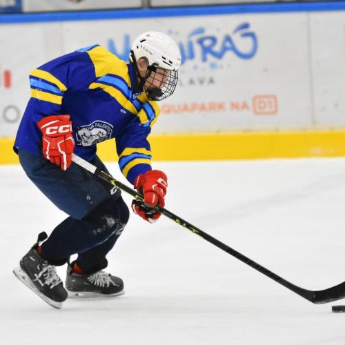 Alex Herynk - Stats, Contract, Salary & More