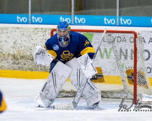 Daniel Salonen - Stats, Contract, Salary & More