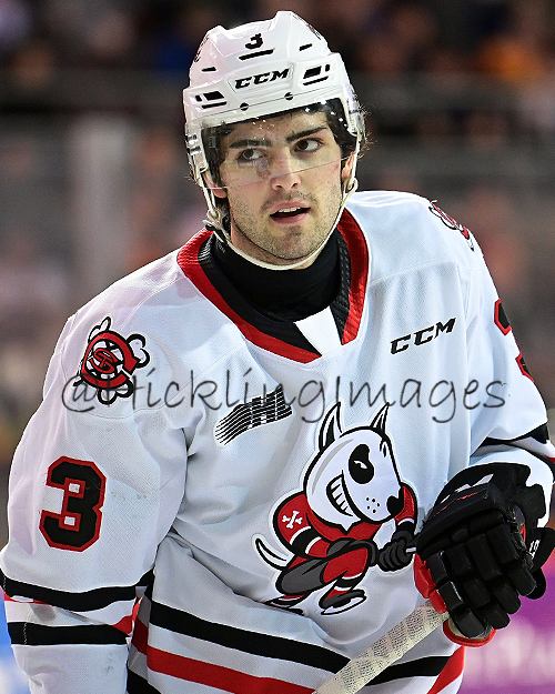 Anthony Agostinelli - Elite Prospects