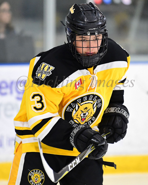 Ty Higgins - Elite Prospects