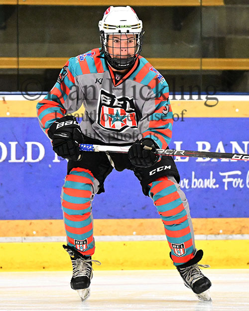 Gavin McNeil - Stats & Facts - Elite Prospects