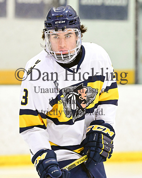 Ronan Robinson - Stats & Facts - Elite Prospects