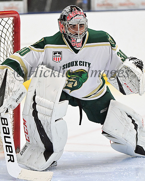 Darius Bell - Elite Prospects