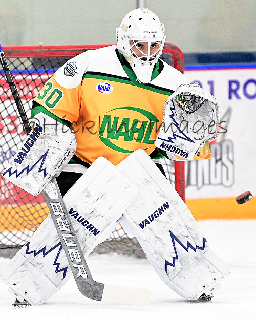Anton Castro - Elite Prospects