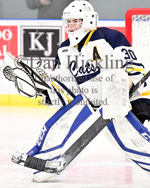 Nolan Francis - Stats, Contract, Salary & More