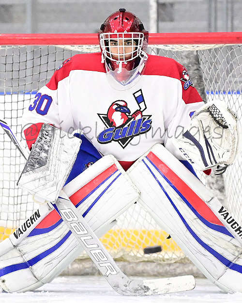 Matthew MacArthur - Stats & Facts - Elite Prospects