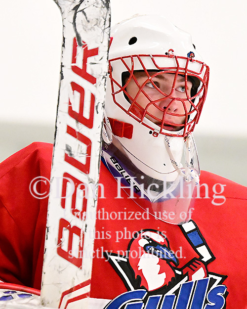 Jordan Valcich - Elite Prospects