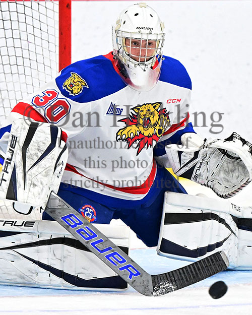 Keegan Warren - Elite Prospects