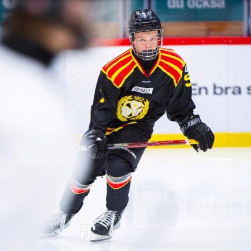 Axel Arnberg - Stats & Facts - Elite Prospects