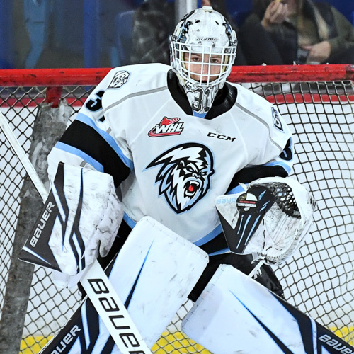 Daniel Hauser - Elite Prospects