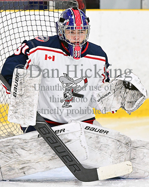 Daniel Giusti - Stats & Facts - Elite Prospects