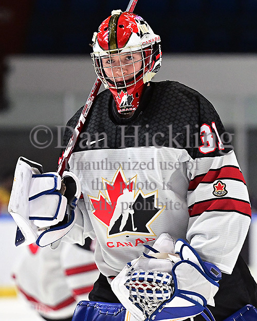 Andrew Ness - Stats, Contract, Salary & More