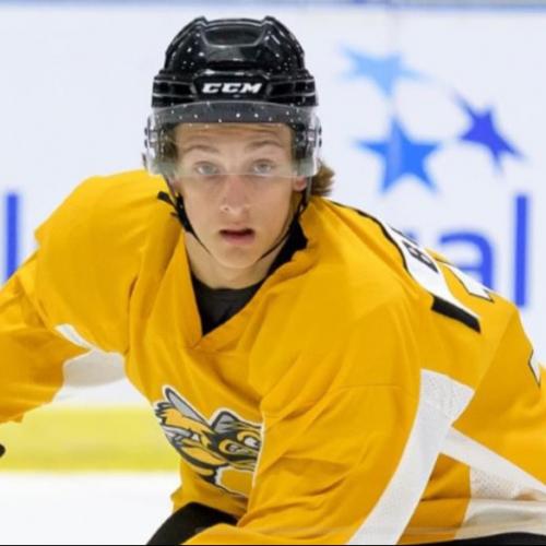 Ryan Brown - Stats, Contract, Salary & More