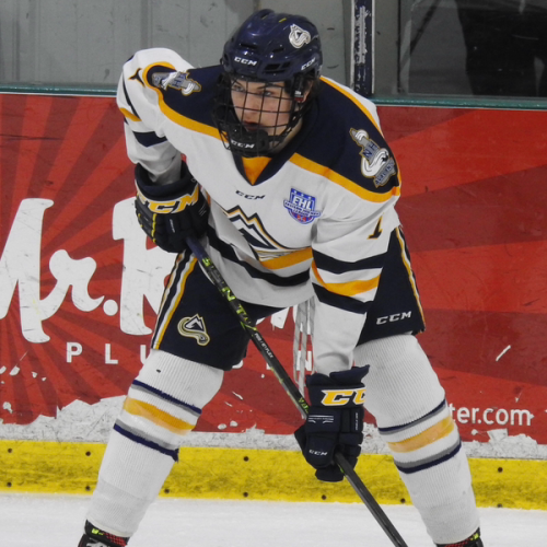 Ryan Johnson - Stats, Contract, Salary & More