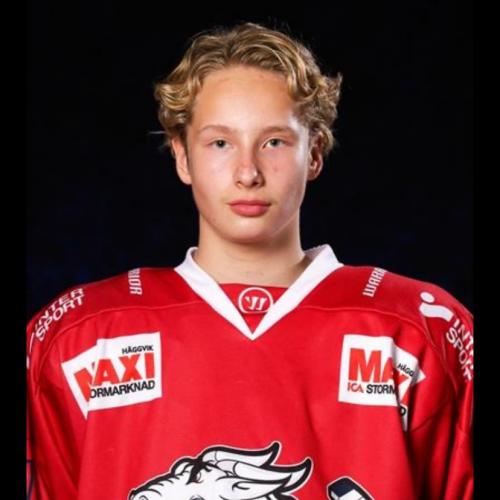 Daavid Pesonen - Stats, Contract, Salary & More