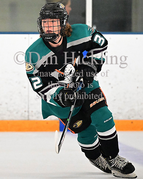 David Contreras - Stats & Facts - Elite Prospects