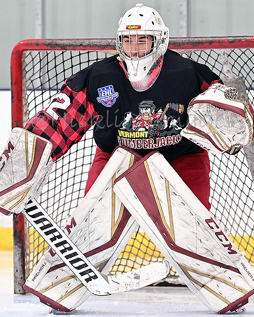 Vincent Parent - Stats & Facts - Elite Prospects