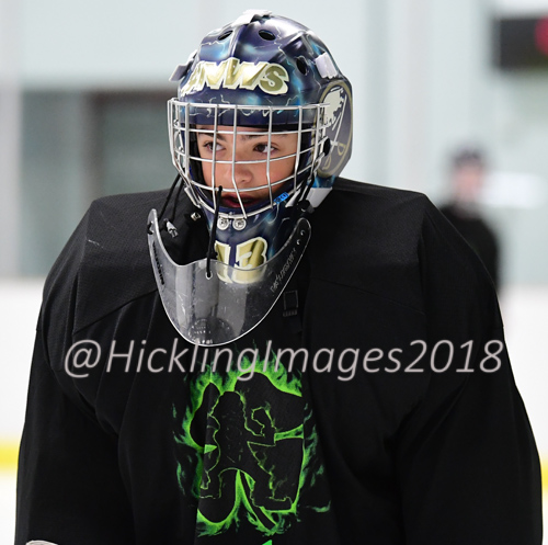 Austin McNicholas - Elite Prospects