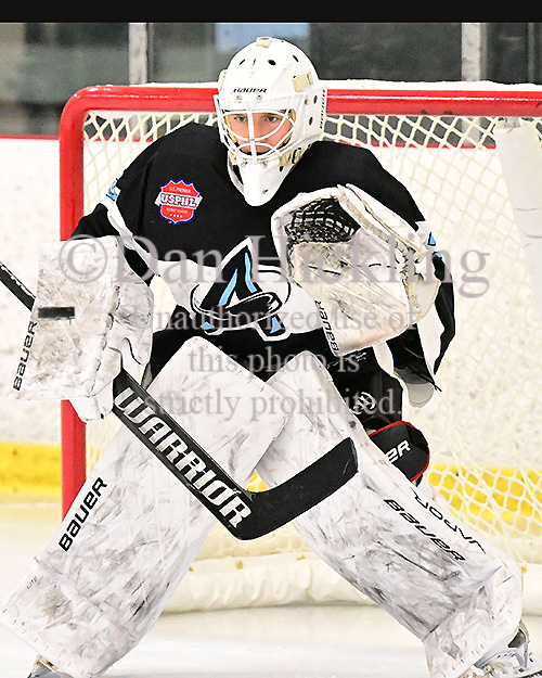 Nick Bevilacqua - Stats, Contract, Salary & More